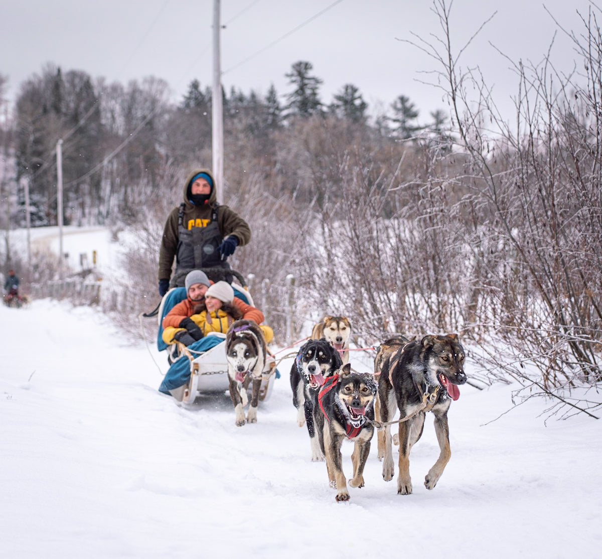 Ultimate Dog Sledding Tour - Ottawa Dog Sledding – Aventure Outaouais